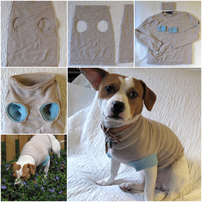 DIY Upcycle Old Sweater Into Cute Pet Clothes