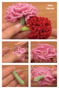 9 Crochet Carnation Flower Patterns for Mother's Day - Page 2 of 2
