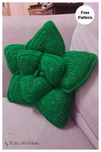 Succulent Pillow Crochet Patterns